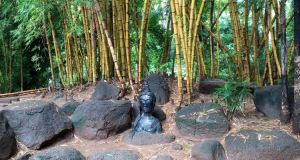 Osho Teerth Park Pune Timings, Entry Fee, Ticket Cost Price; Osho ...