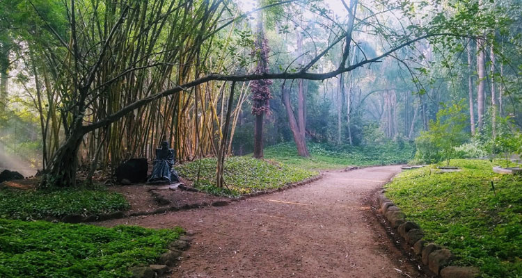 Osho Teerth Park Pune Timings, Entry Fee, Ticket Cost Price; Osho ...