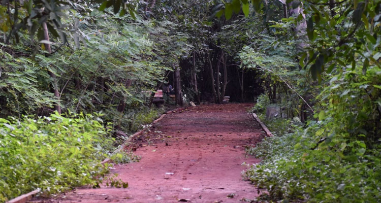 Pashan Lake Pune Timings, Entry Fee, Ticket Cost Price; Pashan Lake ...