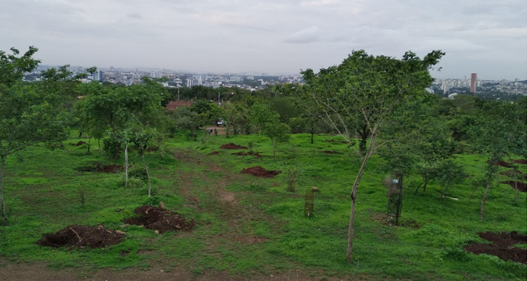 Taljai Hills Pune Timings, Entry Fee, Ticket Cost Price; Taljai Hills ...