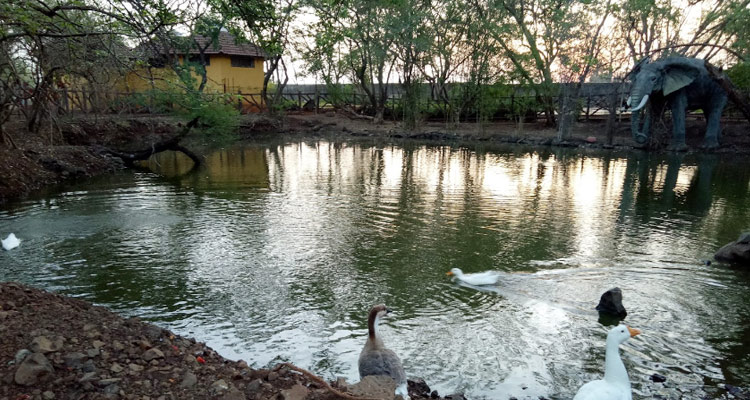 Taljai Hills Pune Timings, Entry Fee, Ticket Cost Price; Taljai Hills ...